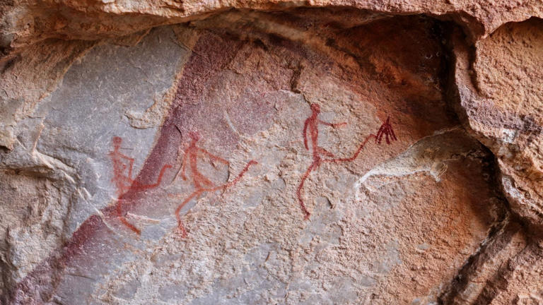 Entraron en una cueva hace 14.400 años con simples ramas de pino y ...