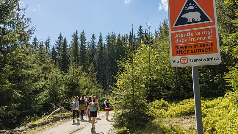 Forget the Camino de Santiago. Romania’s Via Transilvanica hiking trail ...