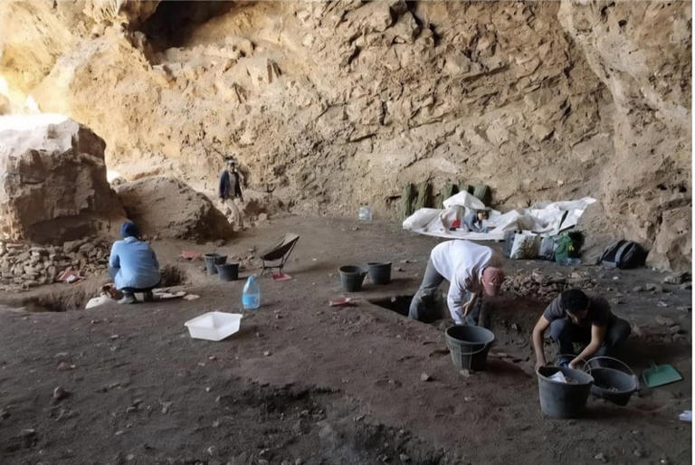 Hundreds of animal bones and dozens of human-made stone tools found ...