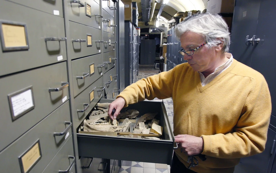 Fossils show early land vertebrates skipped tadpole stage