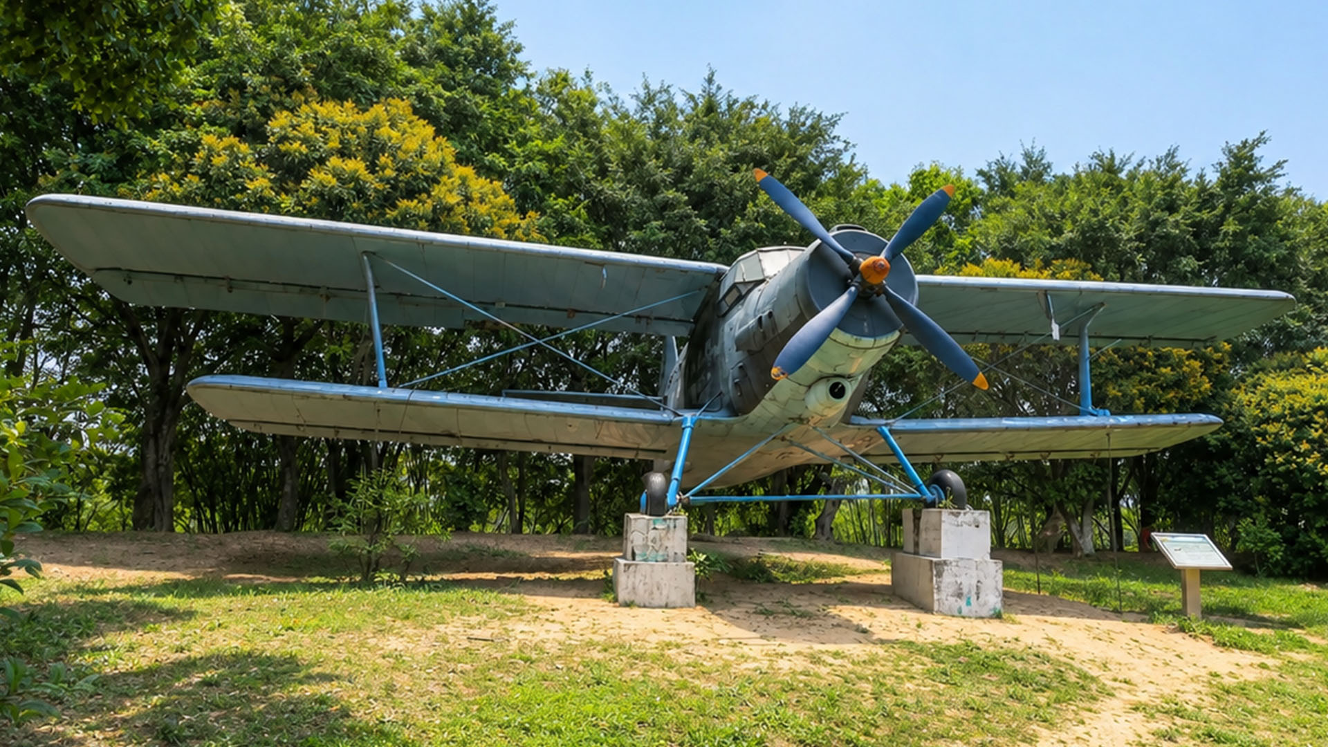 An unusual park relic hides beneath China’s bright summer trees