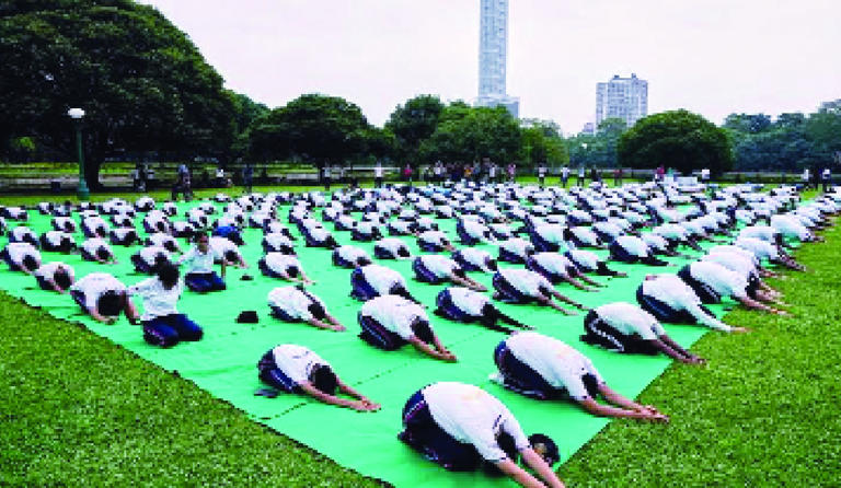 Yoga: Foundation of healthy humanity, balanced nature and sustainable ...