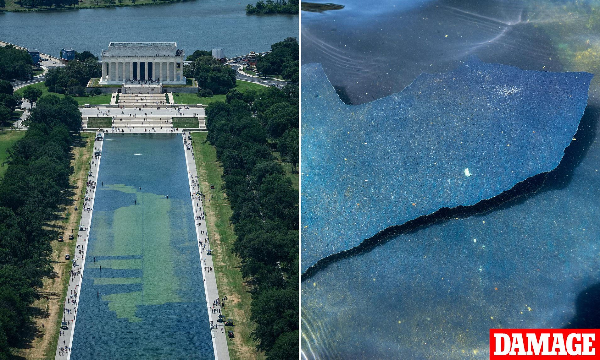 Trump says algae-infested Reflecting Pool must be emptied for repairs