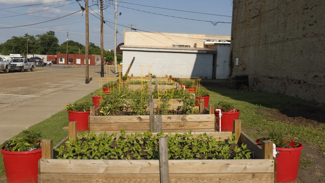 8 creative DIY projects for home gardens