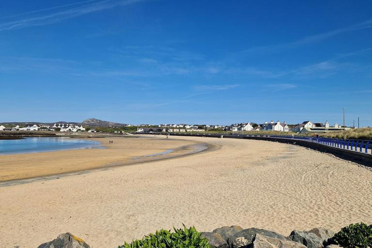 Giant 'slug' on Anglesey beach likely to become more common