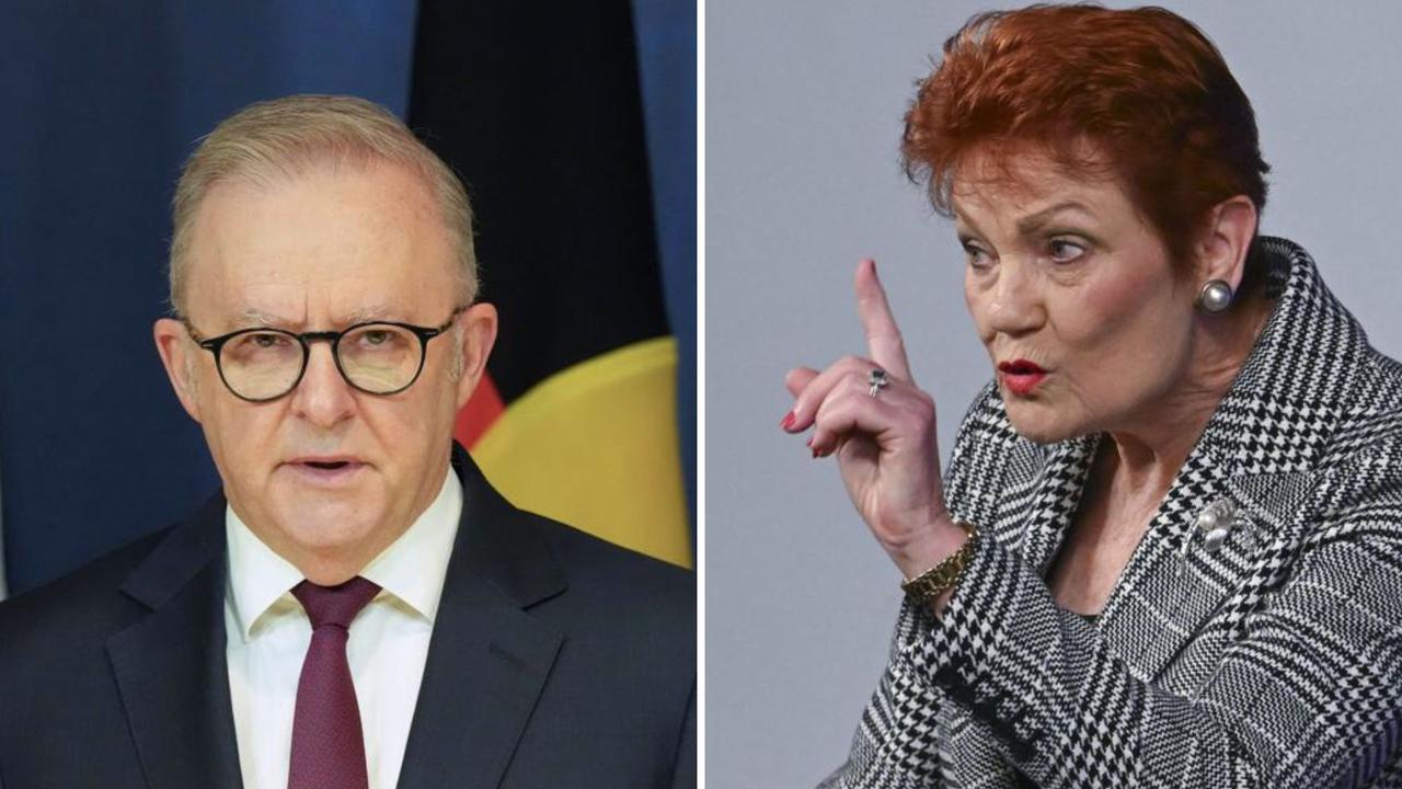 'Pretend': Albo takes fresh aim at One Nation