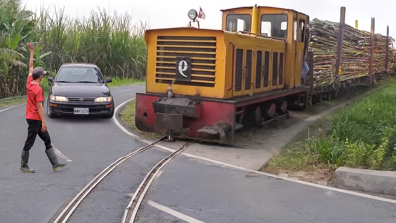 Riding a super-long sugarcane train in the middle of the road