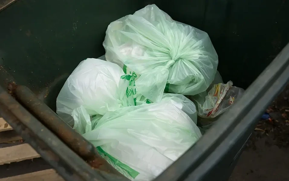 Plastic in 'compostable' packaging forces gardener to restart pile
