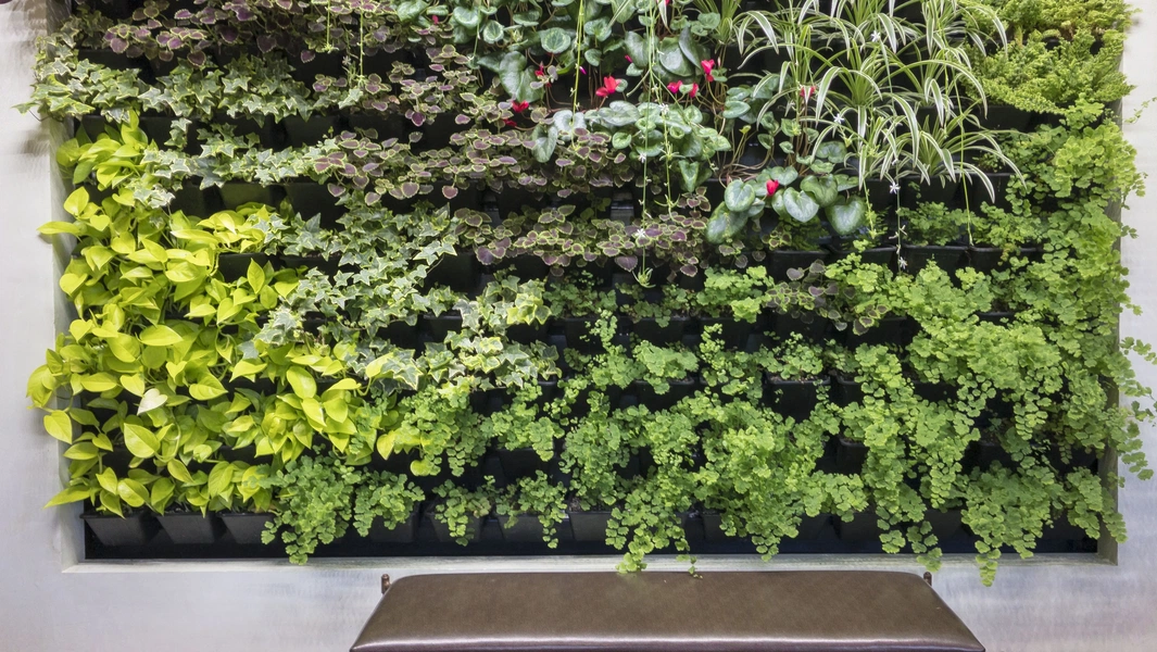 11 creative DIY ideas for indoor and outdoor greenery