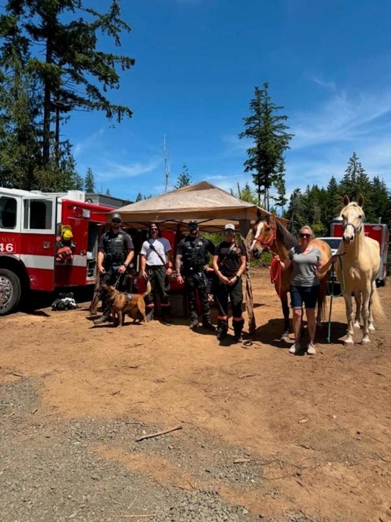 Pierce County rescue organization gives horses a safe place to heal