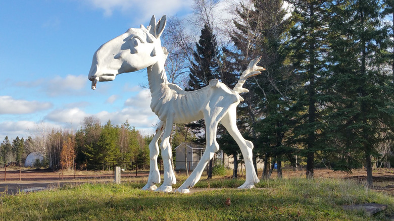 Canada's abandoned roadside attraction in New Brunswick is now a ...