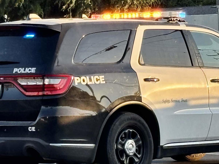 Man arrested after stolen vehicle pursuit ends near Fresno Chaffee Zoo ...