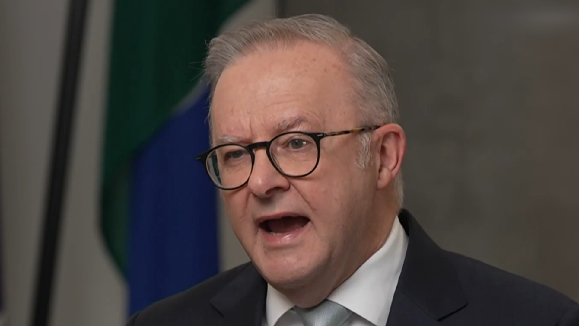 Albanese pressed on immigration as debate over migration levels intensifies
