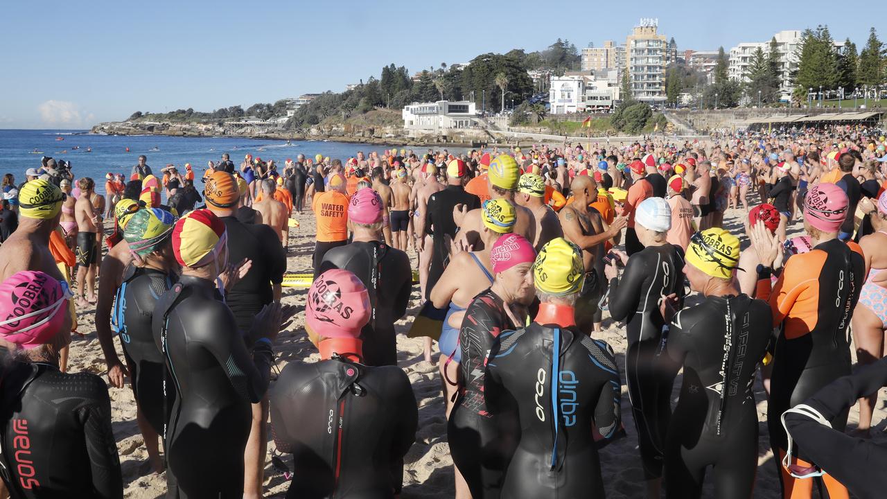 Big swim-out show of solidarity for shark attack victim
