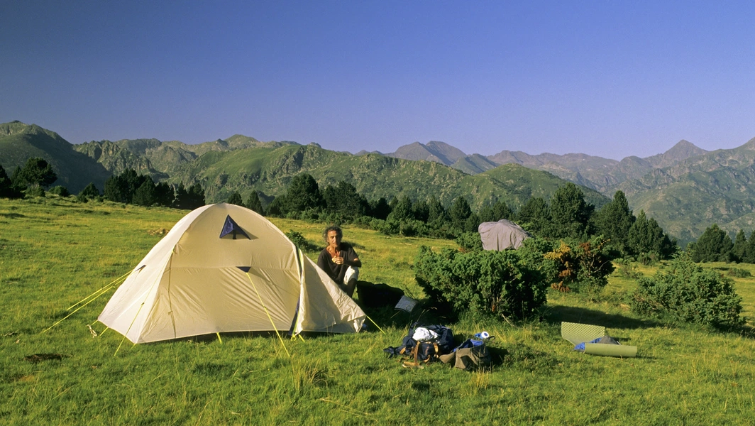 How to keep bears away while camping