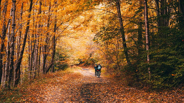 Bike through a tunnel of fall color on this historic Virginia rail trail