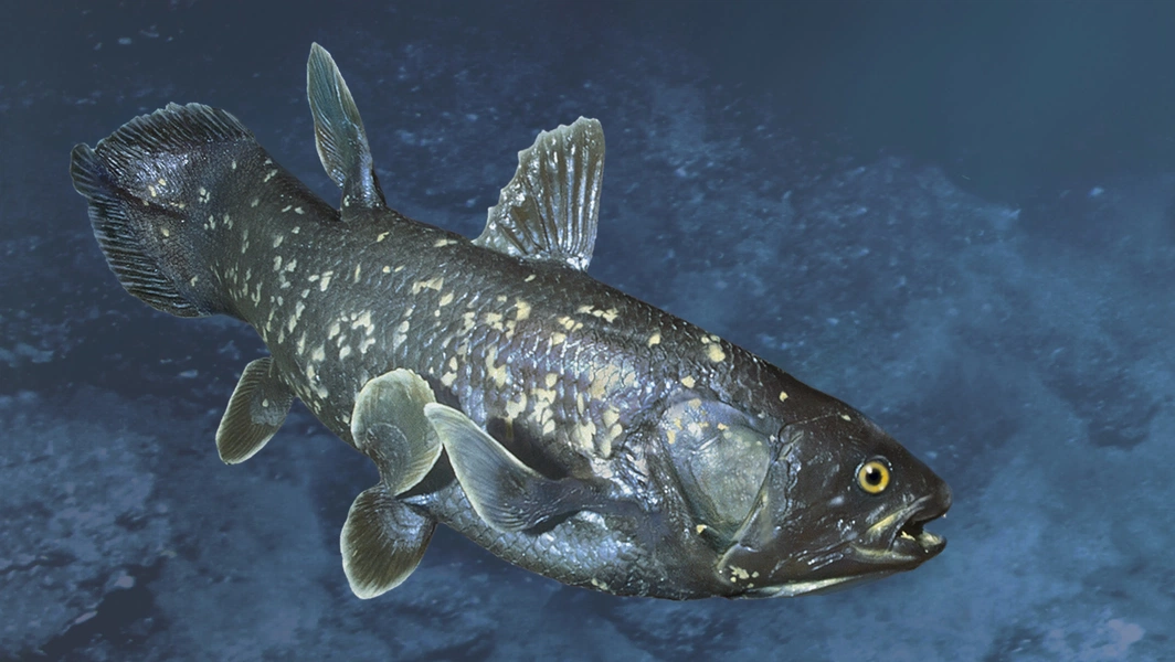 5 remarkable animal rediscoveries