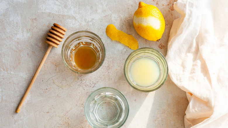 Bee's knees cocktail recipe