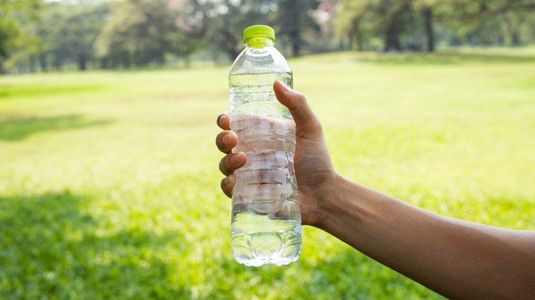 Use a plastic bottle to keep pesky garden insects away with a clever DIY