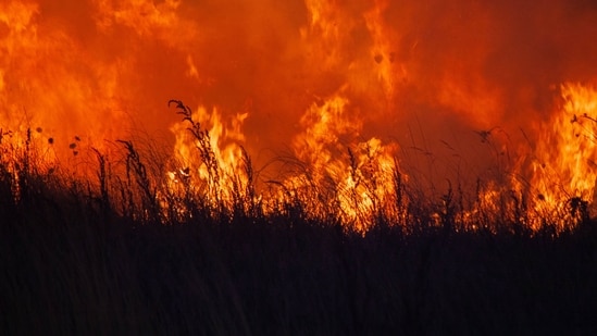 Salt Lake City wildfire: Map, evacuation updates as videos show ...