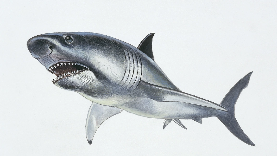 14 fierce predators from prehistoric times