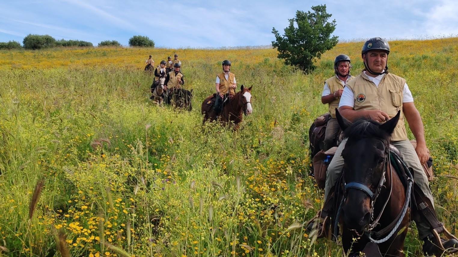 Scatta la fiera del cavallo con show e musica