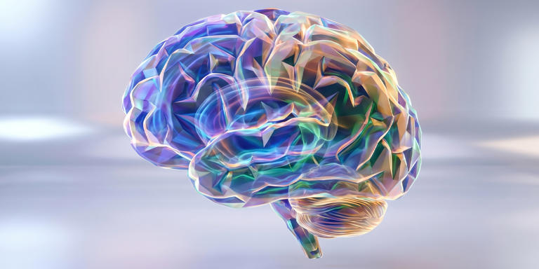 Specific cognitive abilities are highly heritable independent of ...