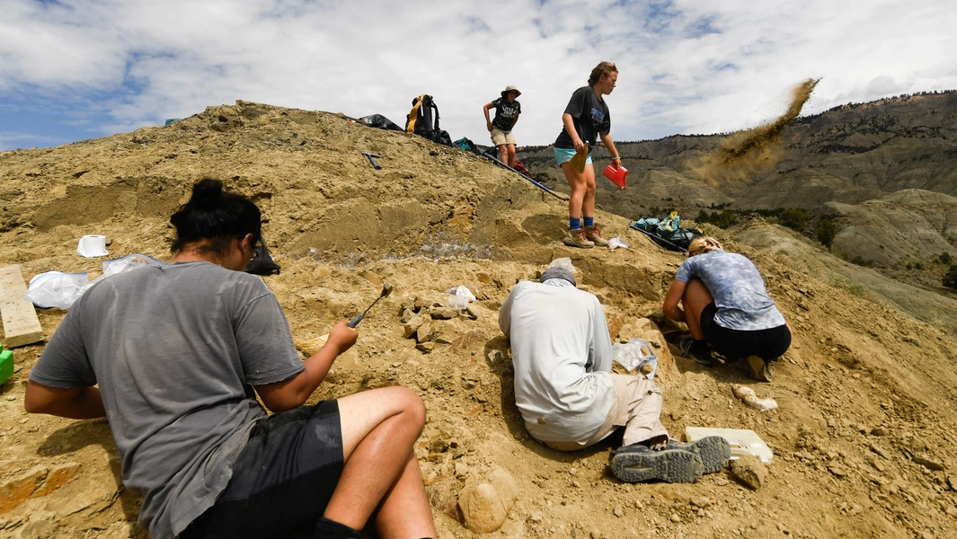 Ancient fossils show first land animals skipped tadpole stage