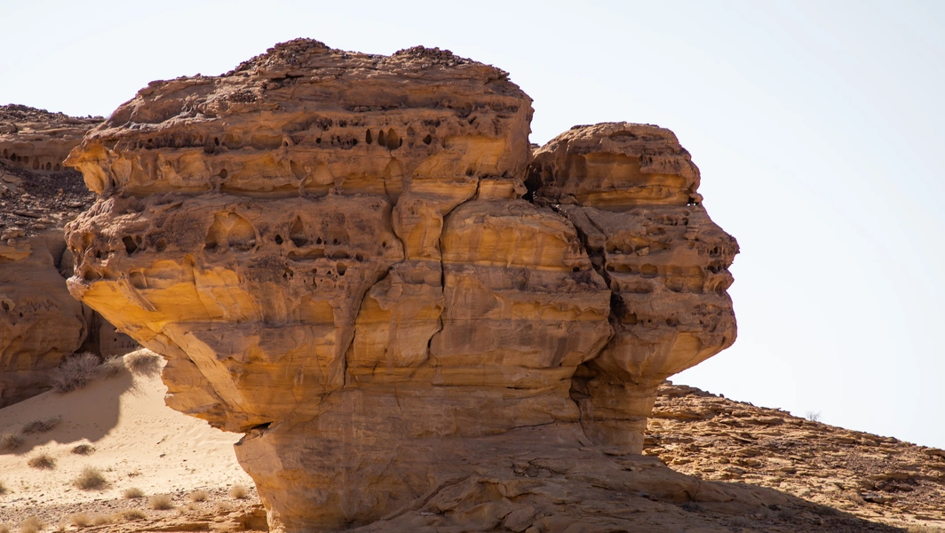 9 amusing examples of pareidolia in everyday life