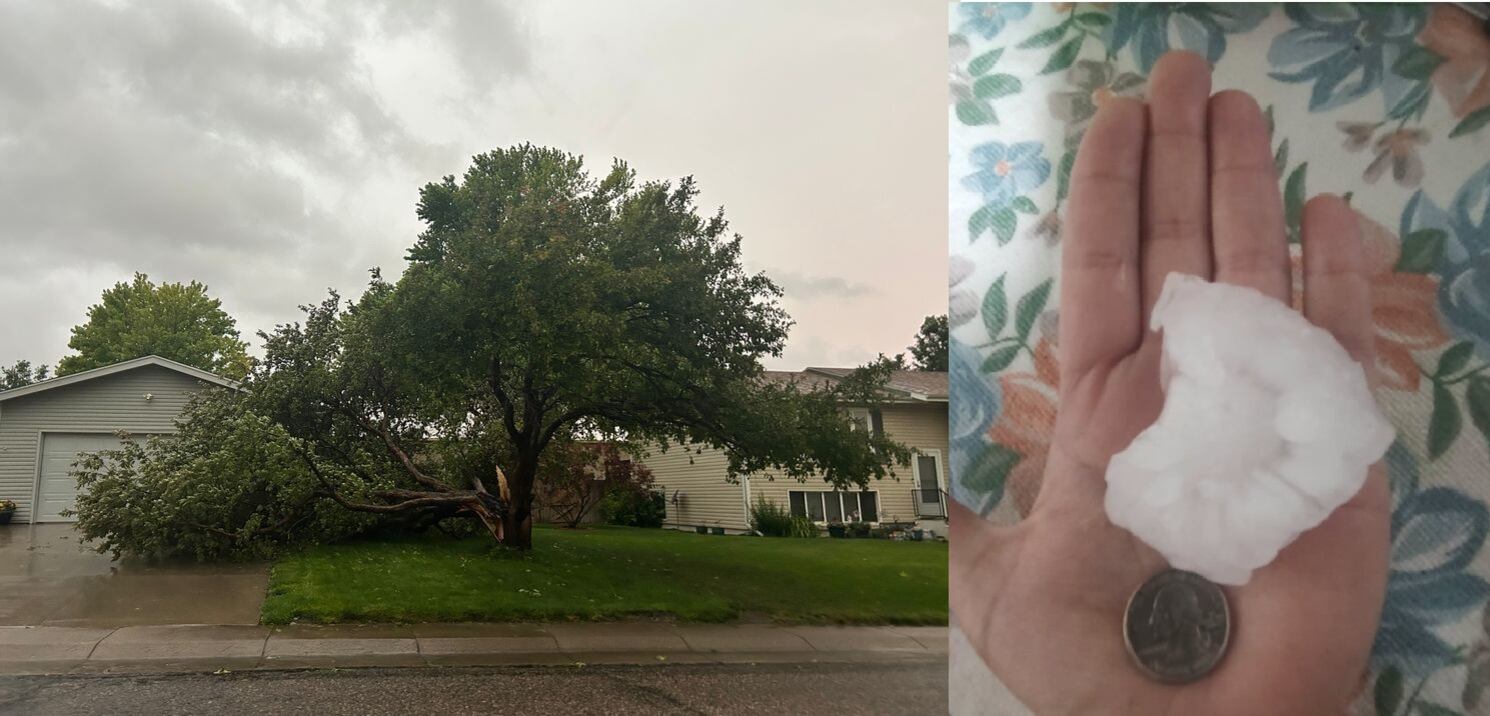 Tornado-like winds knock down trees, power poles in northwest Kansas
