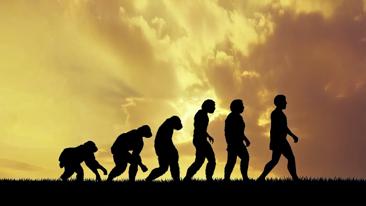 New discoveries keep rewriting the human evolutionary timeline