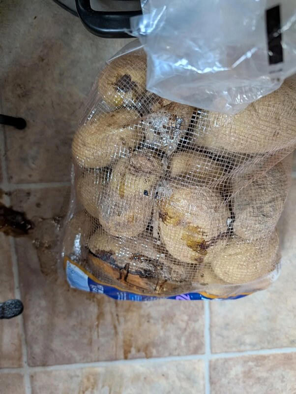 Composter grossed out by leaking potatoes learns they are exactly what ...