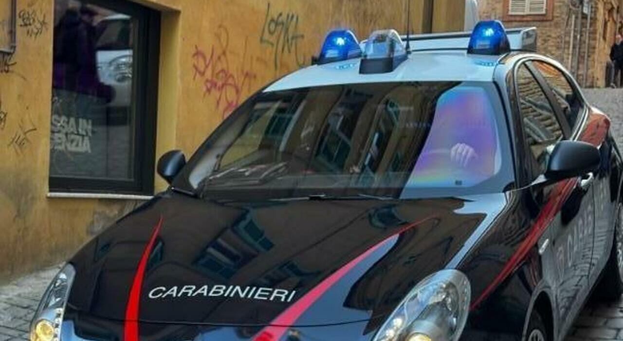Cocaina, Mdma e “miele dello sballo” nascosti sotto una mattonella ...