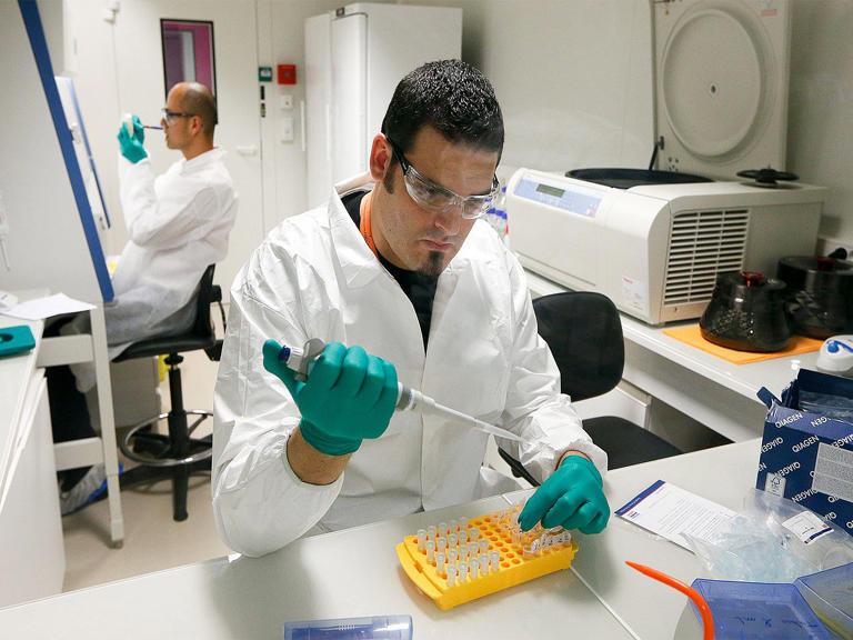 Scientists reprogram brain immune cells to fight Alzheimer's: Study