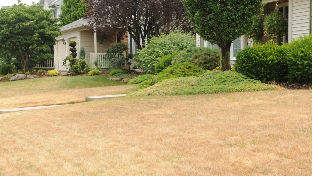 10 causes of brown patches in lawns