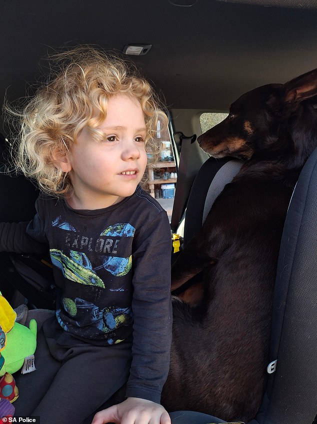 Gus's grandmother reveals grandson had disappeared on family sheep ...