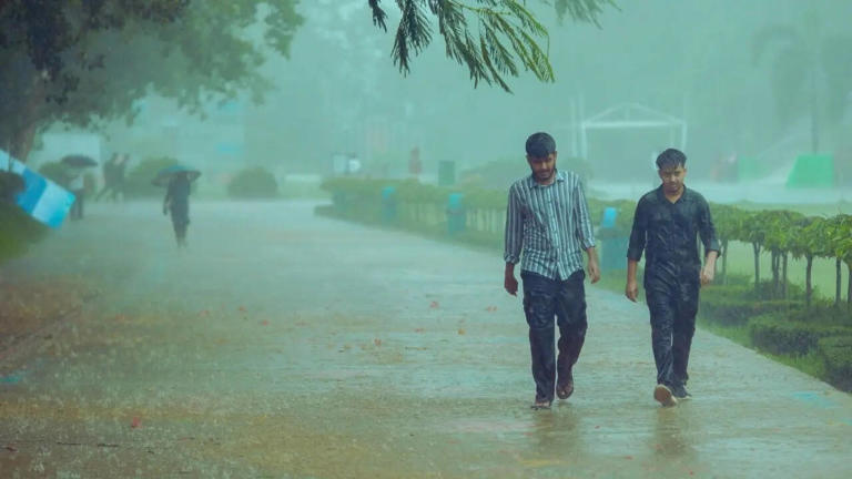Delhi swelters as 'feels-like' temperature hits 44.5° Celsius, rain ...