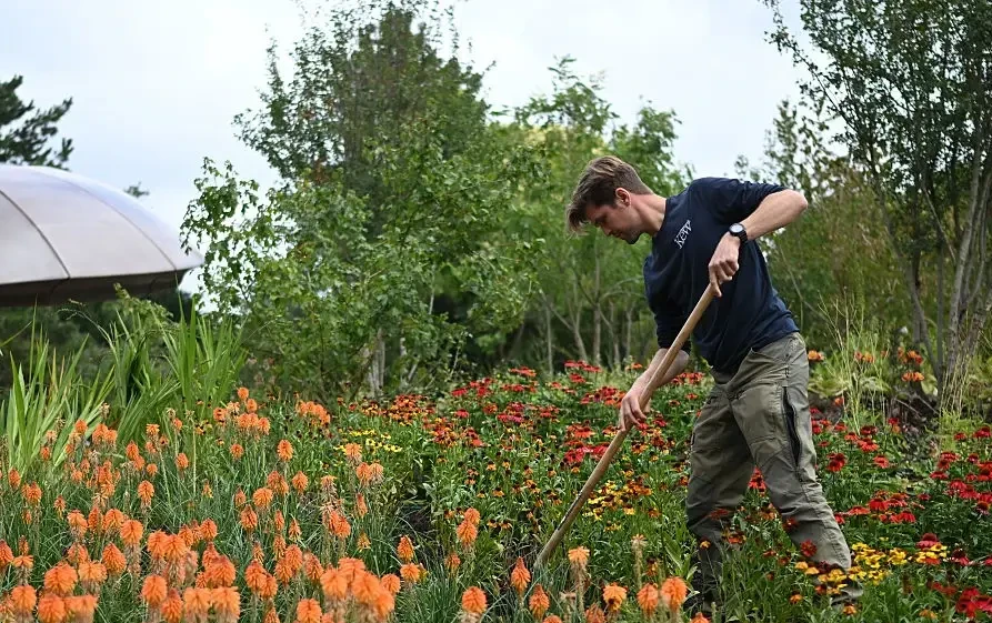 Grow a flower garden that blooms all year