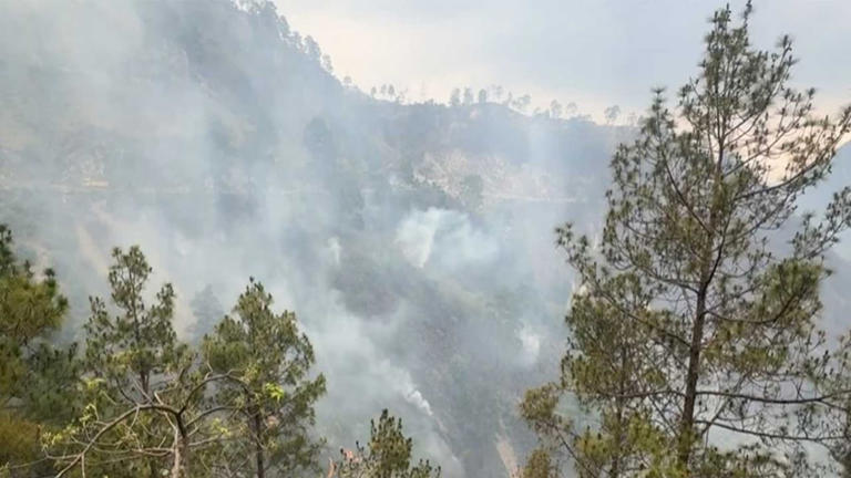 J&K: Massive forest fire breaks out in Reasi, firefighting ops on
