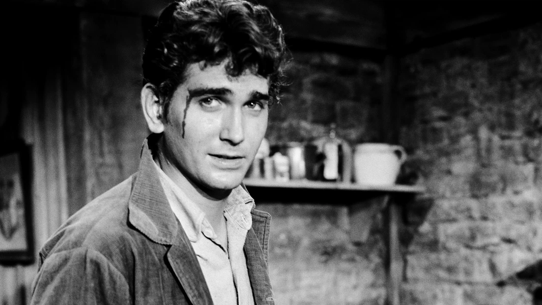 Michael Landon’s journey from actor to TV visionary