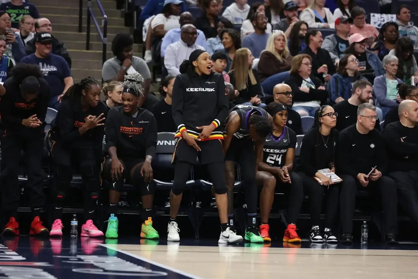 Record sale for a women's basketball team: Connecticut Sun sold for ...