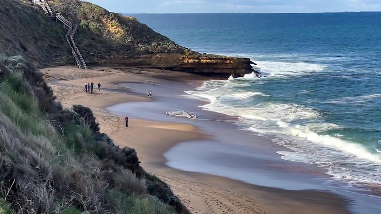 Whale carcass forces Bells Beach to close