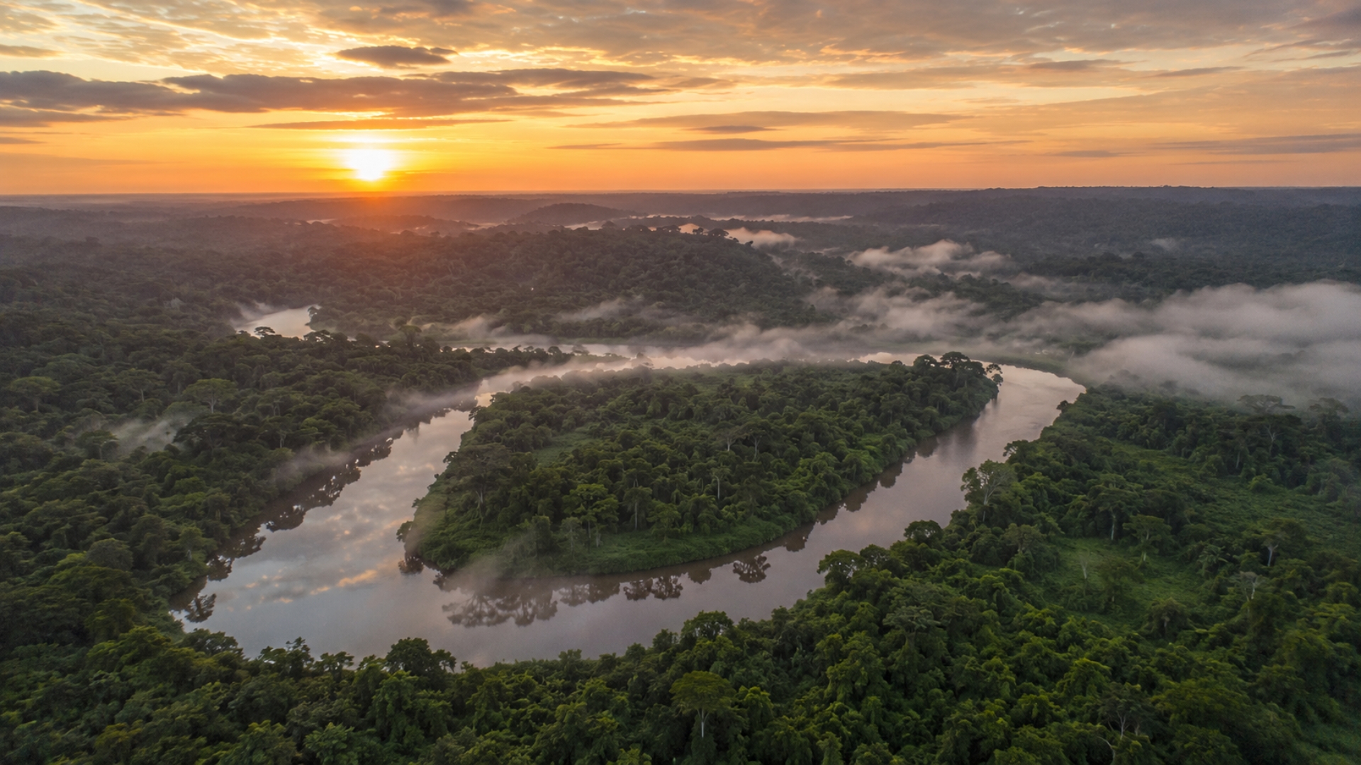 Brazil’s falling Amazon deforestation alerts could be a wildlife ...