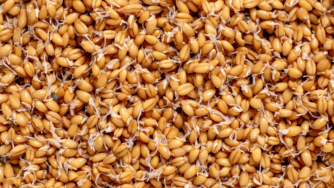 7 dietitian-approved breads for better health