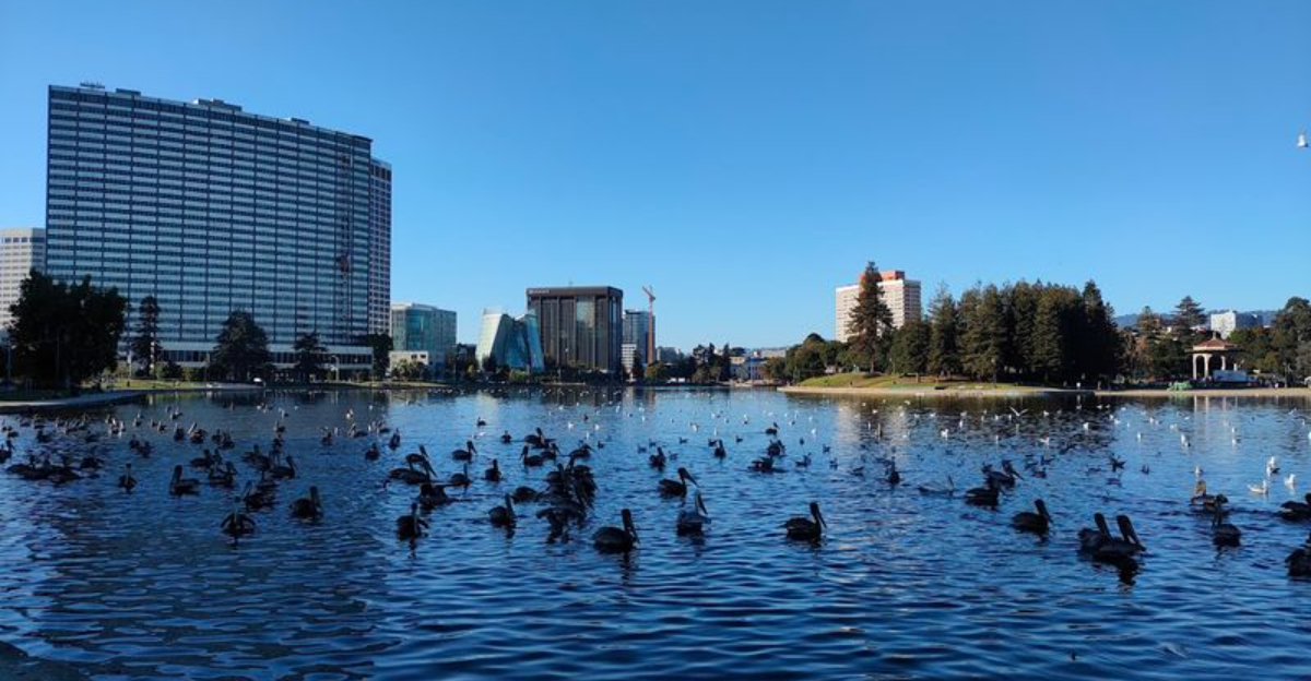 15 cities proving America can do clean and green exceptionally well