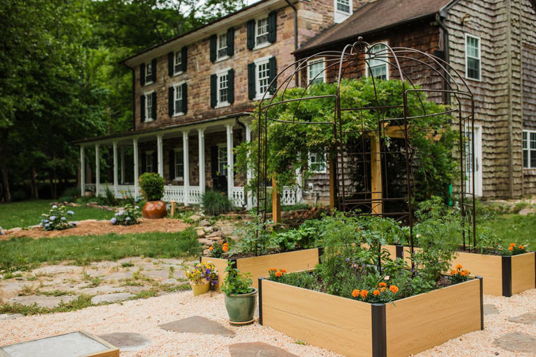 Family buys abandoned 1830s house and spends $15K turning pool full of ...