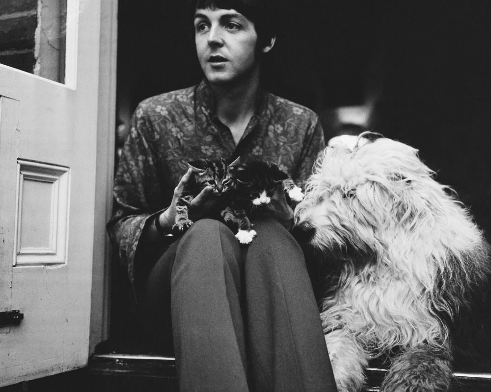 Woof! Rock's 17 most iconic dogs, ranked