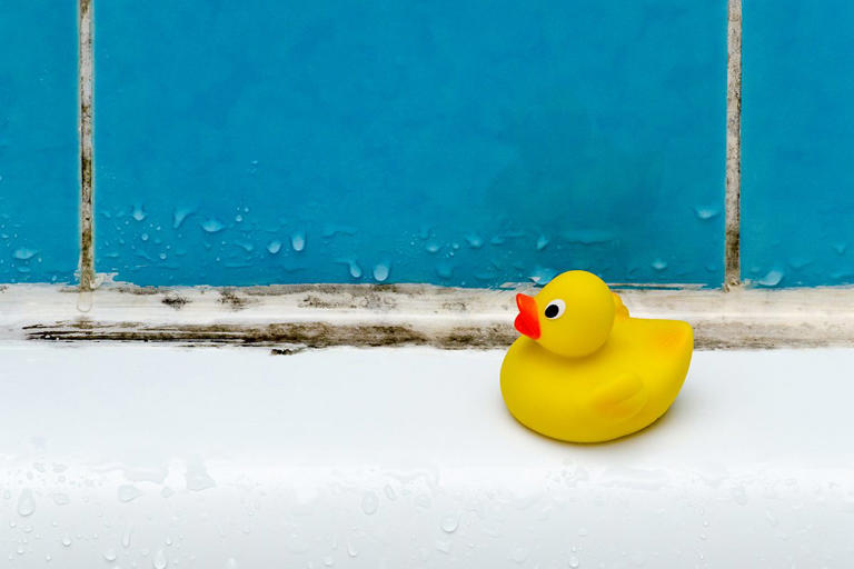 Your home could be making you sick. 10 shocking signs of mould exposure