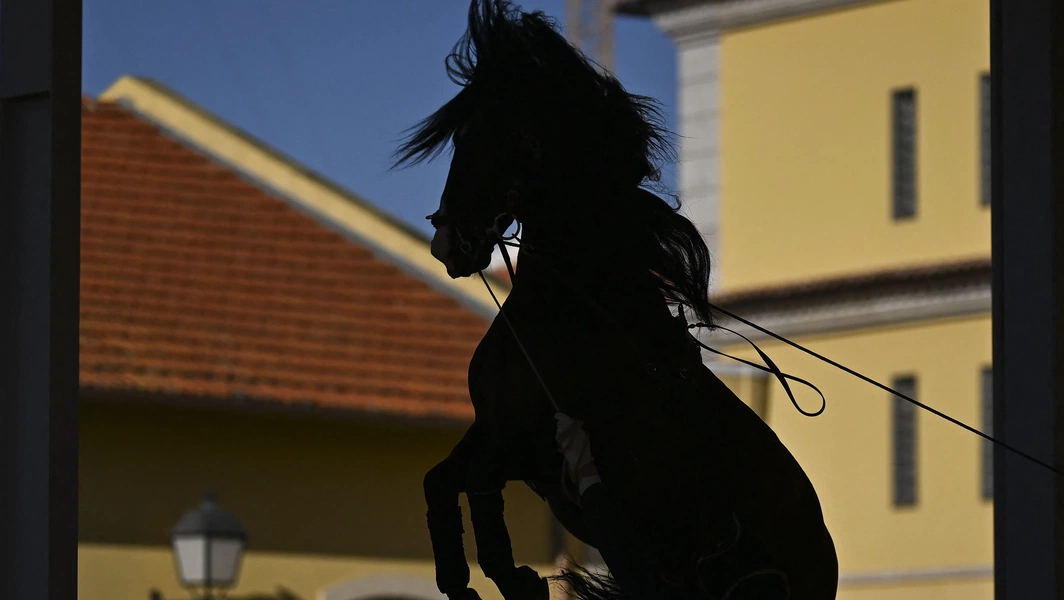 Bo Derek’s life of horses, film, and advocacy