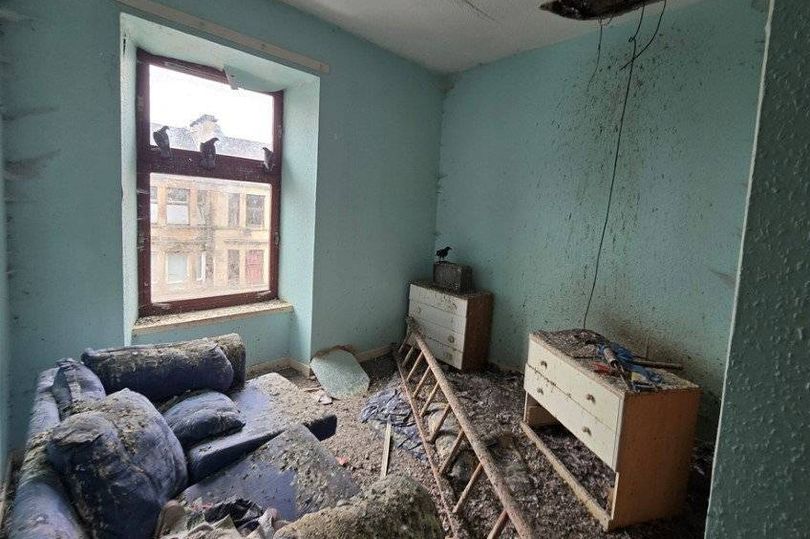 'Uninhabitable' apartment on sale for $19k with room covered in bird poo